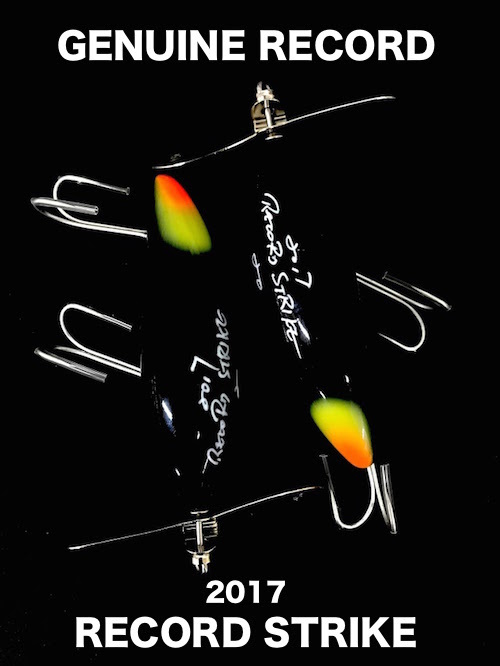 ストライカー&マンガレ: Record Life